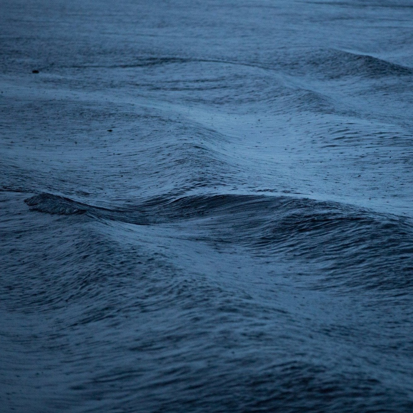 The Pacific | Photo Print by Obakki | Obakki